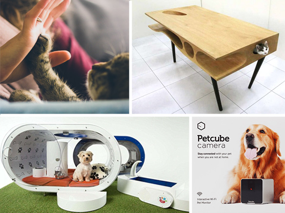 HOME - The humanisation of pets | PDD