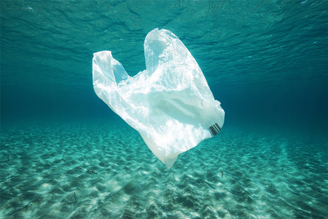 Bio-plastics: a sustainable choice or just a rubbish alternative? | PDD